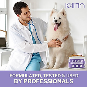 Dog Hip and Joint Supplement - Made in USA Dog Joint Supplement for Mobility Issues - Relief with Glucosamine for Dogs, MSM - 120 Count, Bacon Flavor - All Natural Dog Joint and Hip Supplement