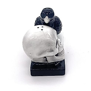 Rustix Quoth The Raven Ceramic Gothic Halloween Decor Cute skull Horror Salt and Pepper Shaker Set Scary Spooky and witchy Gift Fall Season Decor for Kitchen