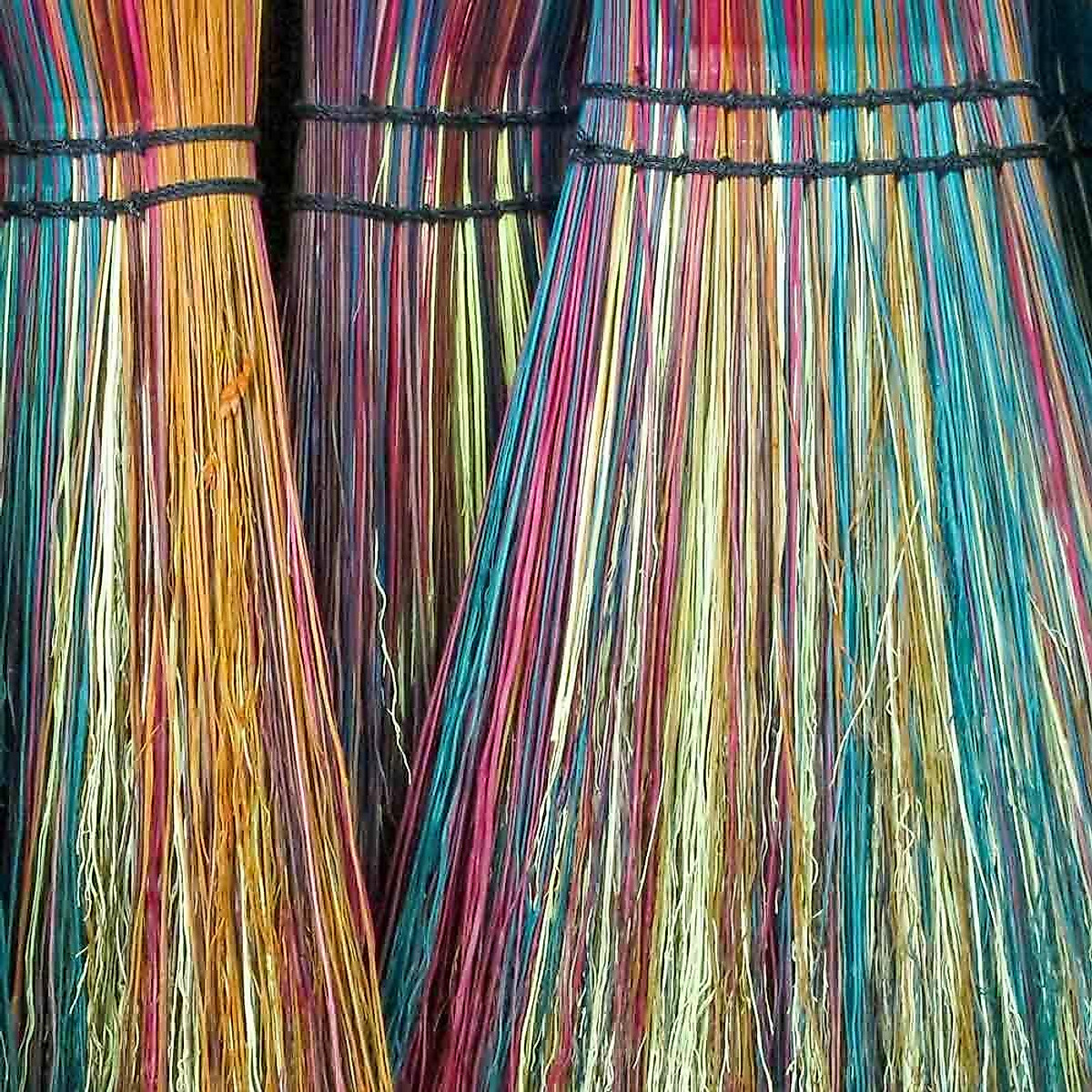 Gardening Treasures: 40 Ornamental Broom Corn Seeds