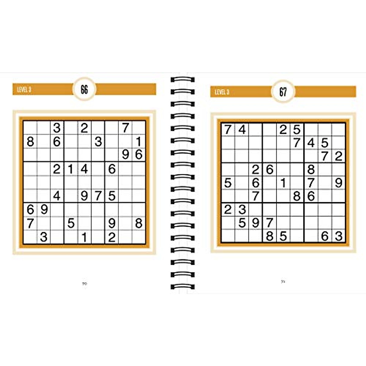 Brain Games - Large Print Sudoku (Orange)