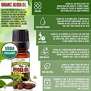 BodyJ4You 38PC Gauges Kit Ear Stretching Jojoba Oil Wax 14G-00G Surgical Steel Tunnel Plug Taper Set