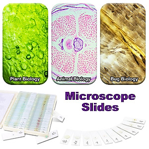 100 Pcs Microscope Slides with Specimens for Kids,Prepared Microscope Slides for Kids,Prepared Slides for Microscope,Microscope with Slides for Student Adults, Including Insect, Animal, Human Tissue