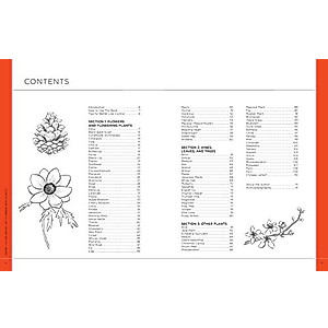 Draw Like an Artist: 100 Flowers and Plants: Step-by-Step Realistic Line Drawing * A Sourcebook for Aspiring Artists and Designers (Volume 2) (Draw Like an Artist, 2)