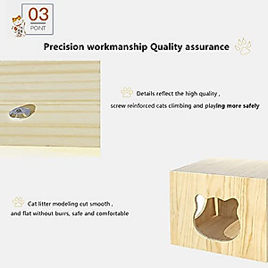 Cat Wall Shelves, Shelves and Perches for Wall, Furniture Set 7 PCS Mounted with 1 Condos House, 4 Sisal Scratching Post, Ladder