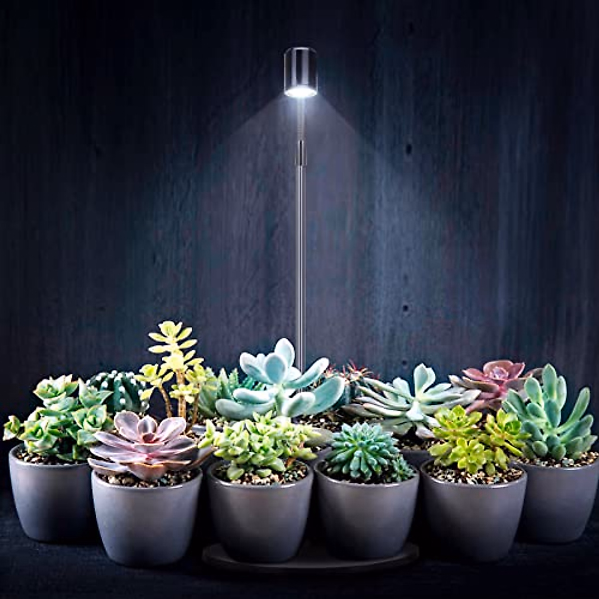 Oltraman LED Aquarium Light, 3W USB Powered Fish Tank Plant Lamp with Black Base Board for 360 Betta Fish Bowl, Potted Plants, Succulents, Miniature Landscape