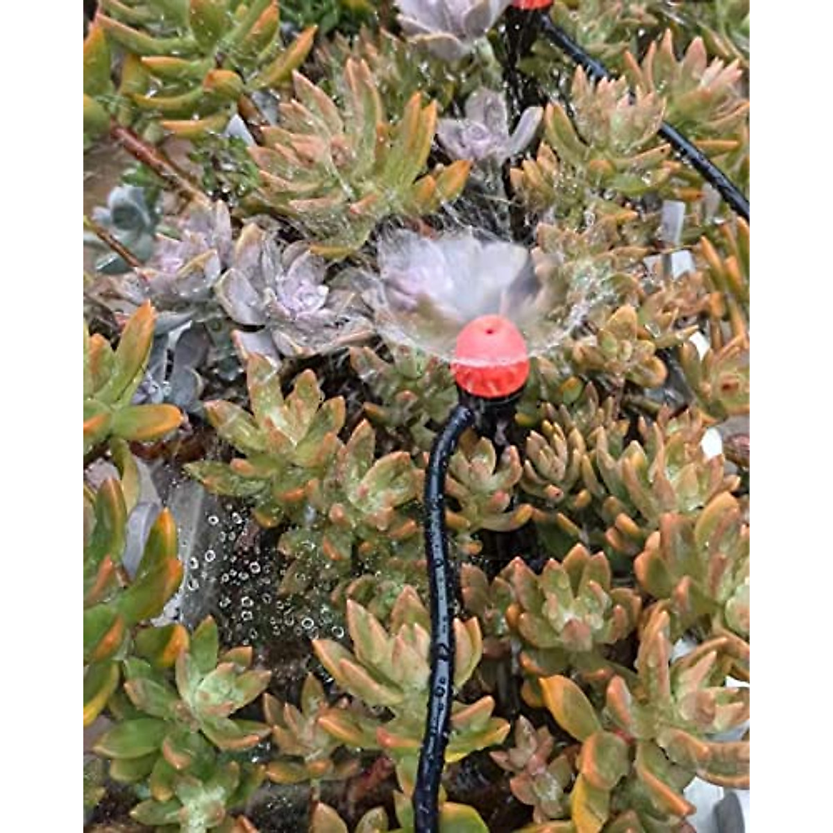 1/4" Drip Irrigation Emitters, Yulaiyoen 1/4-inch Spray Emitters 30 Pack, Automatic Drip Irrigation Parts Accessories, 360 Degree Drip Irrigation Sprinkler Heads Sprayer for Irrigation System