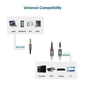 Rankie 3.5mm to 2-Male RCA Adapter Audio Stereo Cable, 6 Feet