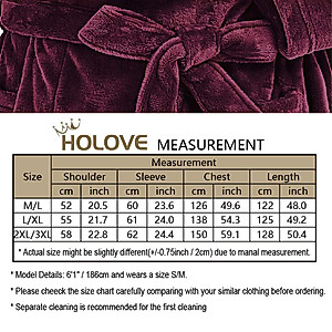 HOLOVE Men’s Fleece Shawl Collar Robe Plush Warm Bathrobe Soft Luxurious Dressing Gown for Men (Wine 2XL/3XL)
