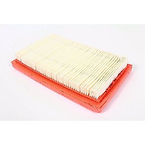 Kohler 14-083-19-S Lawn & Garden Equipment Engine Air Filter Genuine Original Equipment Manufacturer (OEM) Part