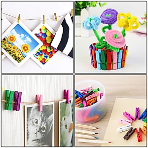 50 Pcs Colored Clothespins Colored Wooden Mini Small Tiny Clothespins Natural Birchwood Close Pins for Hanging Clothes Photos Pictures Arts Crafts Deco