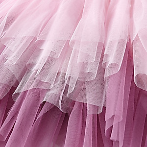 DXTON Kids Baby Girls Tutu Toddler Rainbow Flower Tulle Skirt SK215 3T