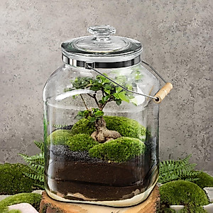 Daitouge 2.5 Gallon Glass Jar with Lids, 5.5" Opening Heavy Large Glass Storage Jars with Handle, Extra Big Glass Container for Kitchen Organization