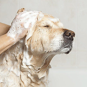 HealthyPets EfaLyt Creme Rinse Remedy for Pets - Hypoallergenic Formula - Natural Moisturizing Promote Hydration - Essential Fatty Acids - 12 fl oz