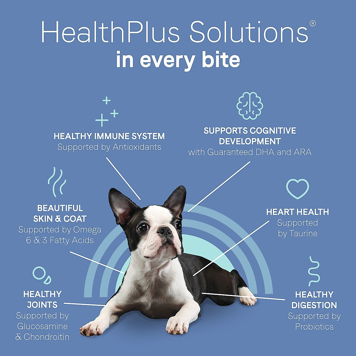 Canidae Pure Petite Premium Freeze-Dried Raw Coated Puppy Food for Small Breeds, Real Salmon Recipe, 10 lbs, Grain Free