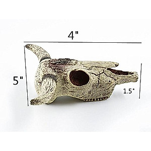 Leoyoubei Aquarium Decoration, Fish Tank Small Skull,Fish Turtle Hidden, Bonsai beautification. Cave Landscape Pet Reptile House Shrimps & Snails Love Them (Cattle Skull)