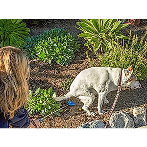 PawCheck P-Scoop Dog Urine Collector - Reusable and Telescopic Dog Urine Catcher extends to 29"