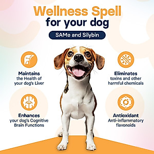 SilymarinAdvanced Liver Health Supplement for Medium Dogs, S-Adenosylmethionine (Same) and Silybin, Liver Tablets, Cognitive Support, 30 Tablets