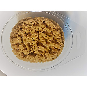 Stepsaver Products Orange Peel and Knockdown Texture Combo Sponge