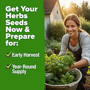 10 Culinary Herb Seeds - Non-GMO, Heirloom Seeds - 3000+ Seeds for Planting for Outdoor or Indoor Herb Garden, Basil, Cilantro, Parsley, Chives, Thyme, Oregano, Dill, Marjoram, Mint, Tarragon