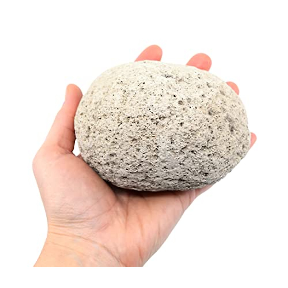 Raw Pumice, Igneous Rock Specimen - Hand Sample - Approx. 3" - Geologist Selected & Hand Processed - Great for Science Classrooms - Eisco Labs