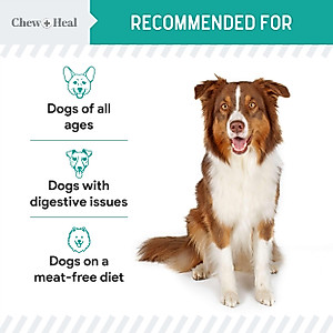 Chew + Heal Labs Probiotic Salmon Jerky Dog Treats - 5 oz of Salmon Jerky for Digestive Health - Made with Wild Alaskan Salmon, Apples, Pumpkin, Pea Protein, and More - Made in The USA