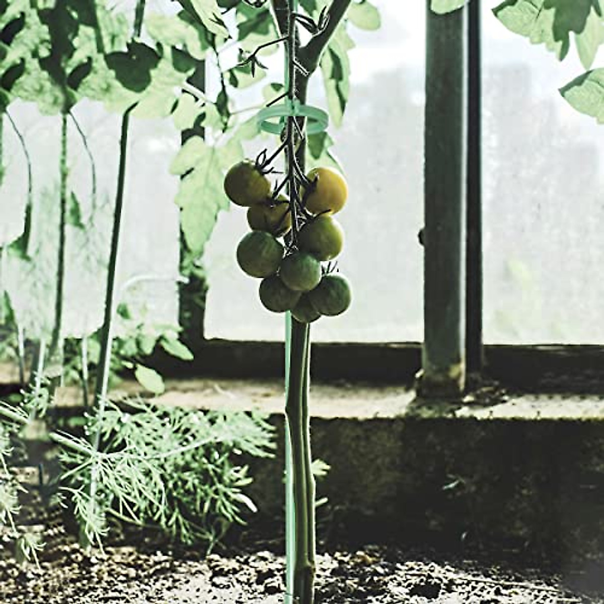 12 Inch Plant Support Stakes, with Adjustable Retaining Ring Green Plant Sticks Support Stakes for Indoor and Outdoor Plants,Flowers,Climbing(10Pcs)