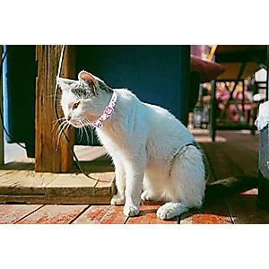 YUDOTE Breakaway Cat Collar with Bell, 2 Pack of Adjustable Floral Cat Collars Cute Safety Purple Pink Kitty Strawberry Collar