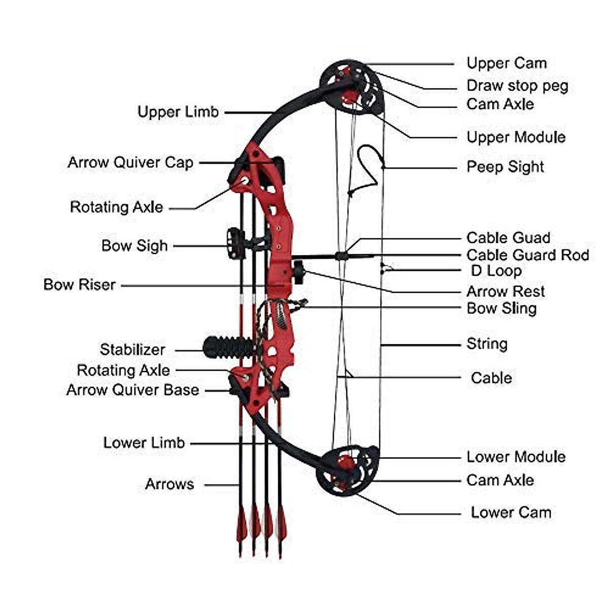 PANDARUS Compound Bow Archery for Youth and Beginner, Right Handed,19”-28” Draw Length,15-29 Lbs Draw Weight, 260 fps (Black Right Handed)