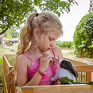 Sofier Timothy Hay Treats Rabbit Toys Bunny Toys Guinea Pig Toys Hamster Toys Natural Chews for Teeth Handmade Rabbit Chews and Treats Chinchilla Rat Gerbil