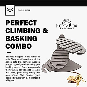 Reptabox Creations Spiral Bearded Dragon Wood Lounge - Perfect Climbing & Basking Perch for Bearded Dragons Uromastyx and Gecko | Ideal Bearded Dragon Tank Accessory (15" x 13" 11")