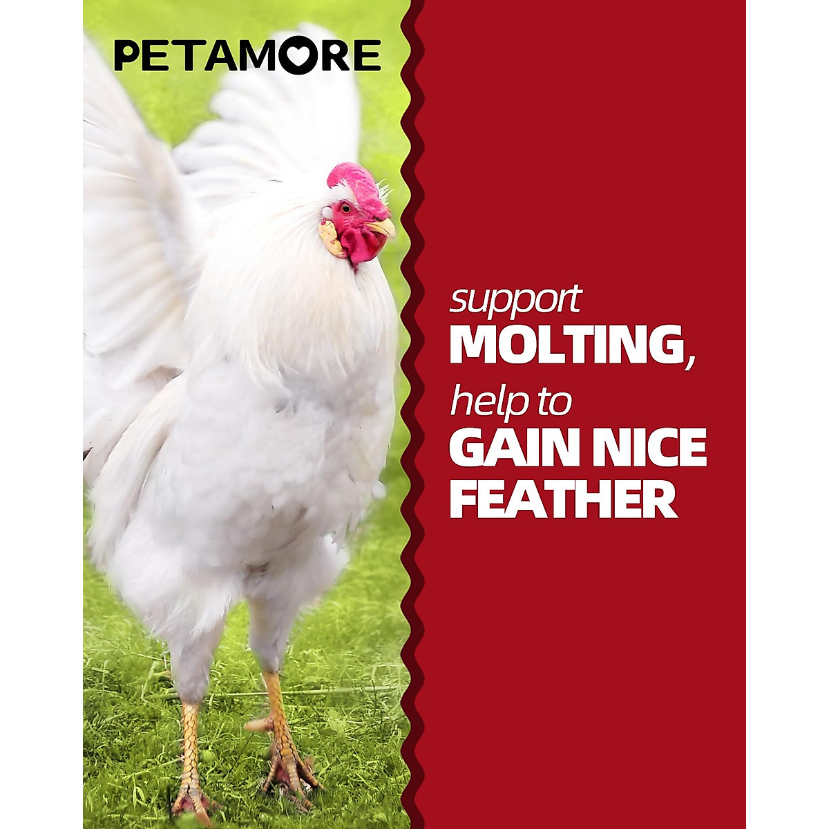 Dried grubs for Chicken -Alternative to Dried mealworms for Chickens-Dried Black Soldier Fly Larvae for Laying hens Backyard Flock Party Poultry, Fowl, Reptiles, Amphibian etc