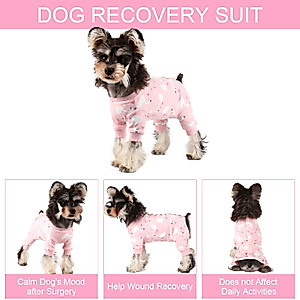 Due Felice Dog Recovery Suit Female Male Dog Onesie for Surgery, Fit for Small Dog Breed Dog Body Suits After Surgery Dog Surgical Suit Pink Swan/S