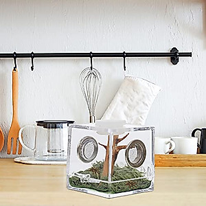 NUOBESTY 2 Set Spider Terrarium Acrylic Critter Keeper Jumping Spider Enclosure Snail Container House Reptile Terrarium Insect Enclosure Tank Snail Spider Habitat 3. 5X3. 5X4CM