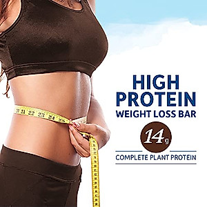 Garden of Life High Protein Bars for Weight Loss - Organic Fit Bar, Chocolate Fudge (12 per carton) - Burn Fat, Satisfy Hunger and Fight Cravings, Low Sugar Plant Protein Bar with Fiber