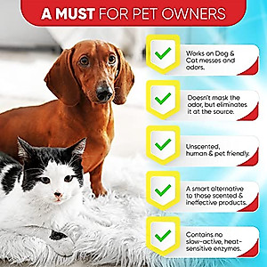 386 Professional Strength Pet Odor Eliminator for Home – Premium Odor Neutralizer for All Surfaces - Multipurpose Urine Remover for Dogs and Cats – Unscented, Long-Lasting No Enzyme Formula