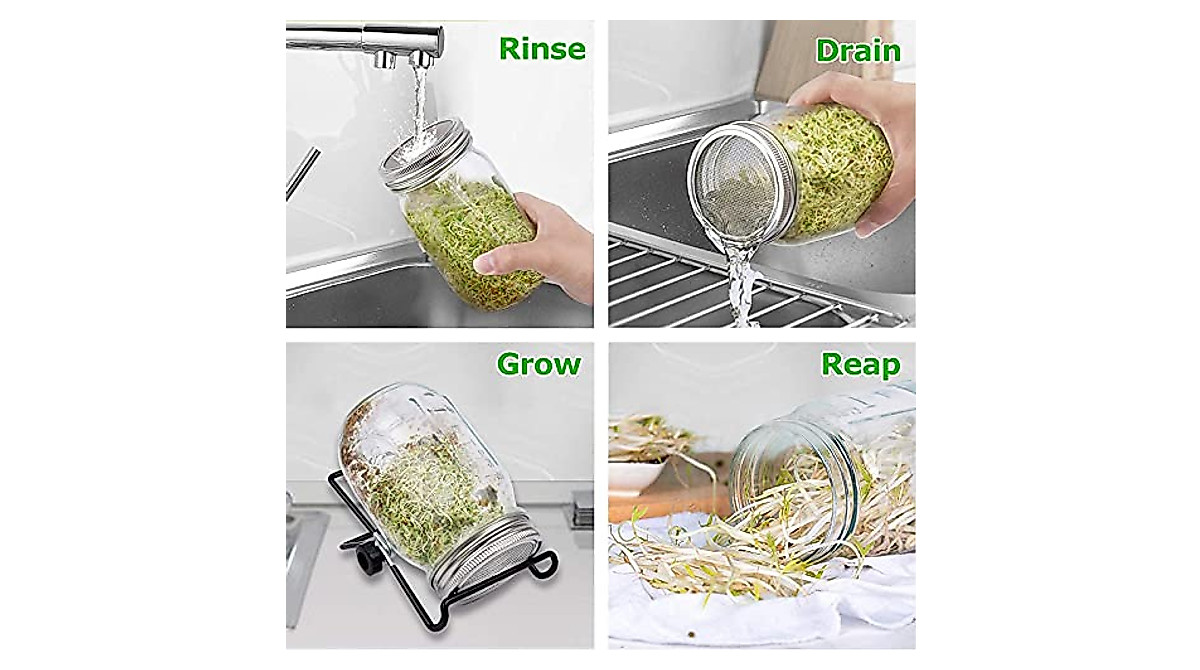 Home Seed Sprouting Kit | Grow Fresh Broccoli, Alfalfa & More