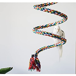 Bird Spiral Rope Perch, Cotton Parrot Swing Climbing Standing Toys, Bird Cage Toy for Lovebirds Budgies Tiels Green Cheek Conures Senegals Quaker Parakeets (S)