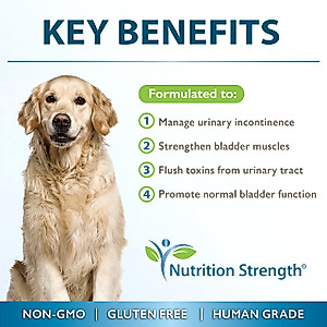 Nutrition Strength Dog Incontinence Support, Extra Strength Supplement for Dog Bladder Health, Organic Support for Dogs Leaking Urine, Promotes Dog Bladder Control, 30 Soft Chews