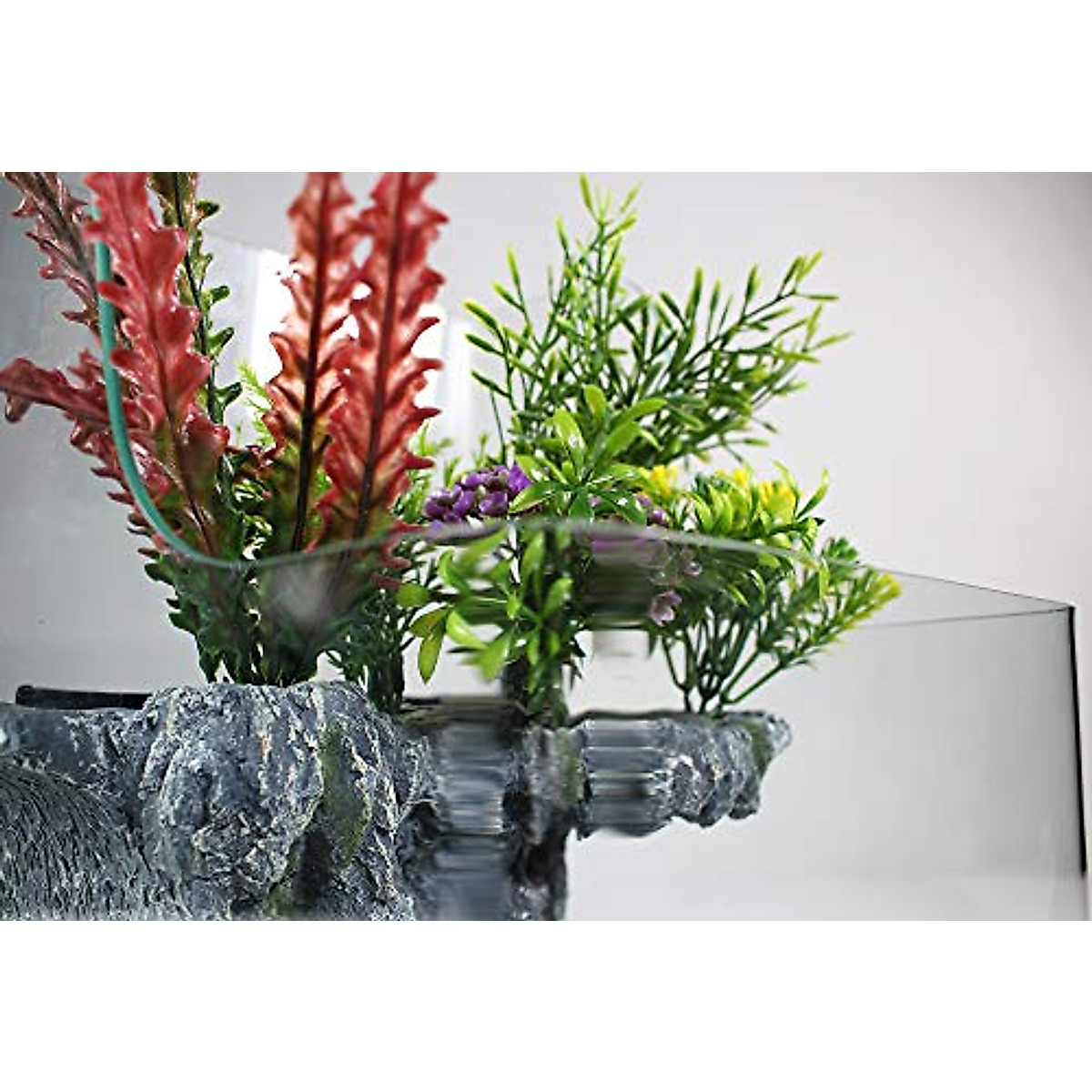 PENN-PLAX AquaTerrium Planting Tank – Hydroponic Aquarium with Integrated Filter System for Live Plants and Fish – 1.85 Gallons