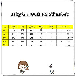 Rtnnsbbfcm Toddler Baby Girl Outfits Plaid Long Sleeve Tops Cardigan +Short Skirt Fall Winter Clothes