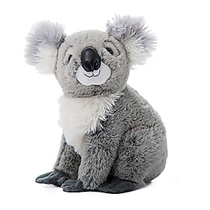 The Petting Zoo Koala Stuffed Animal, Gifts for Kids, Wild Onez Zoo Animals, Koala Plush Toy 12 inches