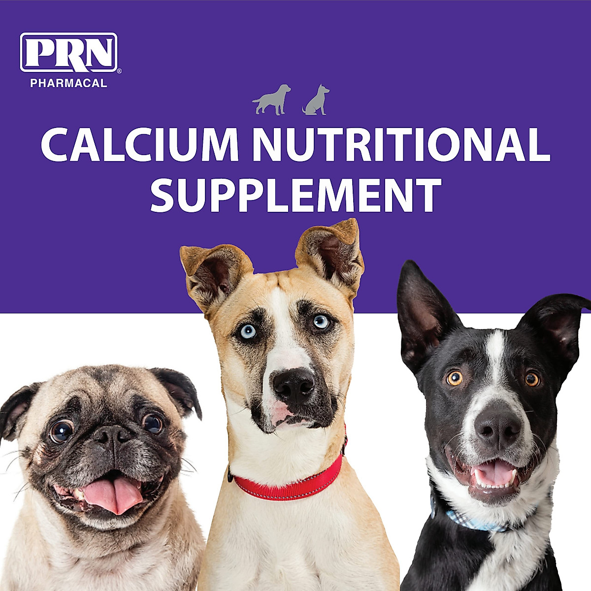 PRN Pharmacal Calsorb - Calcium Nutritional Supplement to Help Maintain Healthy Calcium Levels in Dogs - Gel-Based Dog Nutritional Supplement in an Easy-to-Use Syringe - 12 mL Syringe (3 Packs)