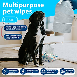 Pets Depot 400 Gentle Puppy Wipes for Butt and Paws - Hypoallergenic, Easy to Use for Dog and Cat Cleaning and Deodorizing - Wet Grooming Wipes to Sanitize Your Pet's Toys