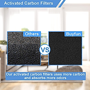buyfun 115115 Size 21 Replacement Filter A H13(MERV 17) True HEPA Filter Compatible with Winix C535, PlasmaWave 5300, 5300-2, 6300, 6300-2, P300 Plasma wave, 1×HEPA filter+4×carbon filter