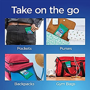 Clorox Disinfecting On The Go Travel Wipes, Fresh Scent, 9 Count, Pack of 24 (Package May Vary)