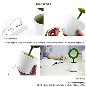 Rockwood Plant Air Purifier