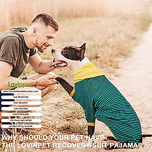 LovinPet Large Dog Onesie,Cotton Green Stripe Dog Shirt, 2-Leg Style Dog Pajamas, Large Breed Dog Jammies, Pet PJ's/Large