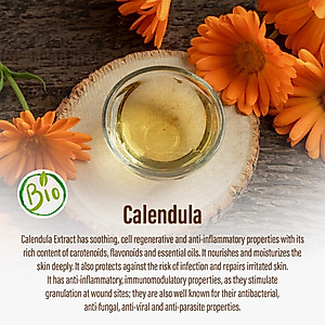 Evomere bebe Soothing Nappy Cream for Babies and Kids, Bio, Hypoallergenic 100 mL / 3.38 fl. oz.