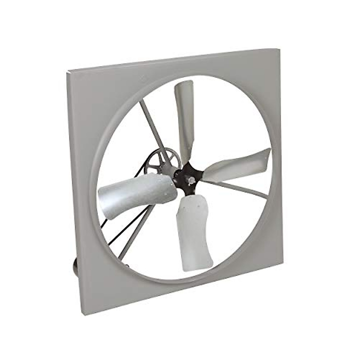 TPI - CE-48B Corporation CE-48-B Commercial Exhaust Fan, Single Phase, 48" Diameter, 120 Volt