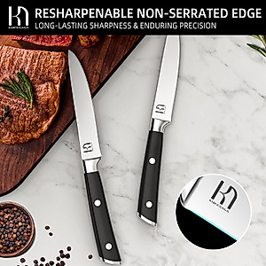 KnifeSaga Kitchen Knife Set, 15 Pcs Knife Block Set, Japanese Knife Sets for Kitchen with Block and Sharpener, Razor-Sharp Premium Knives Sets High Carbon Stainless Steel, Black